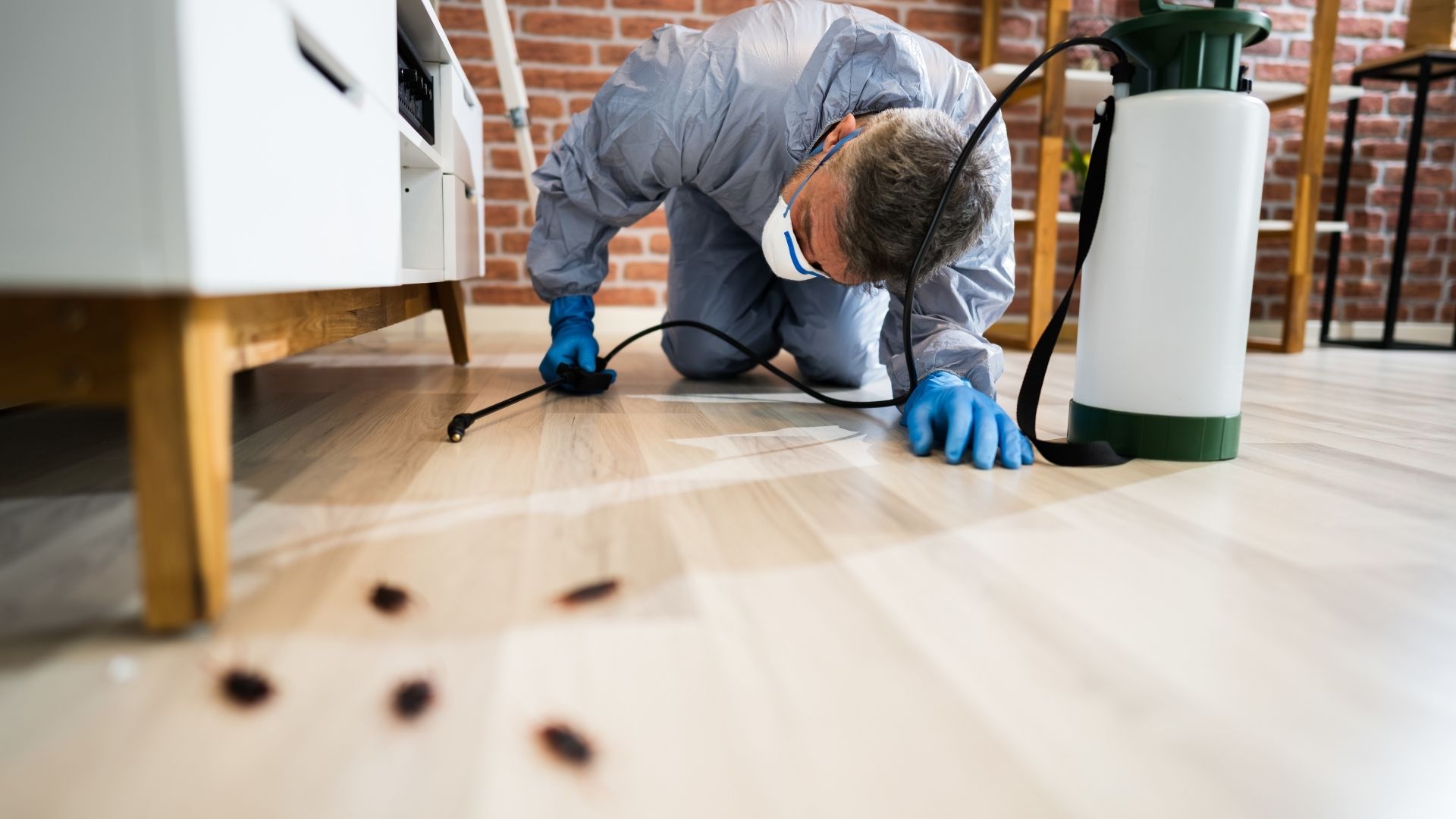 About - Coastwide Pest Control - Central Coast - Newcastle