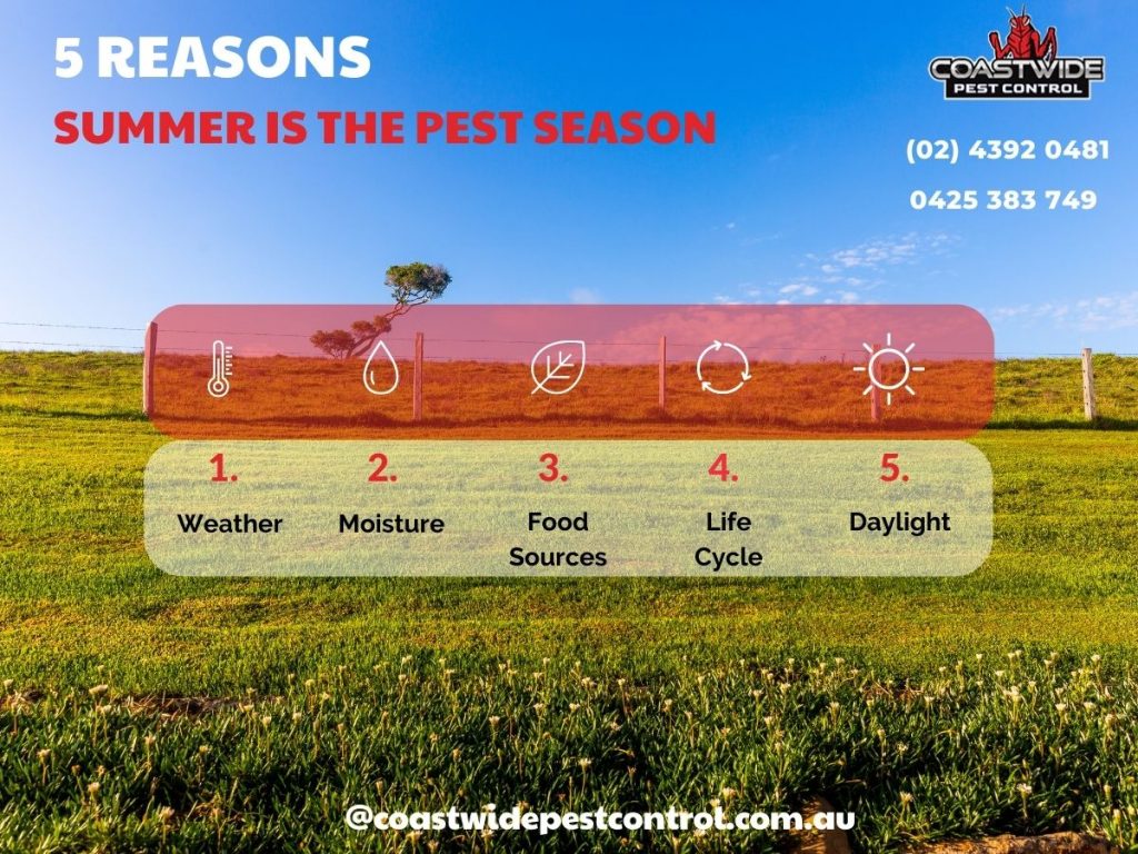 5 Reasons Summer is the Pest Season - Coastwide Pest Control