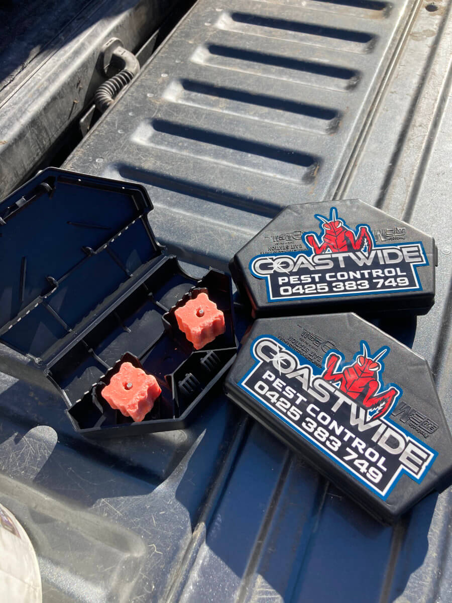 Coastwide Pest Control Central Coast - Fast & Reliable