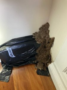 Coastwide Pest Control Central Coast - Fast & Reliable