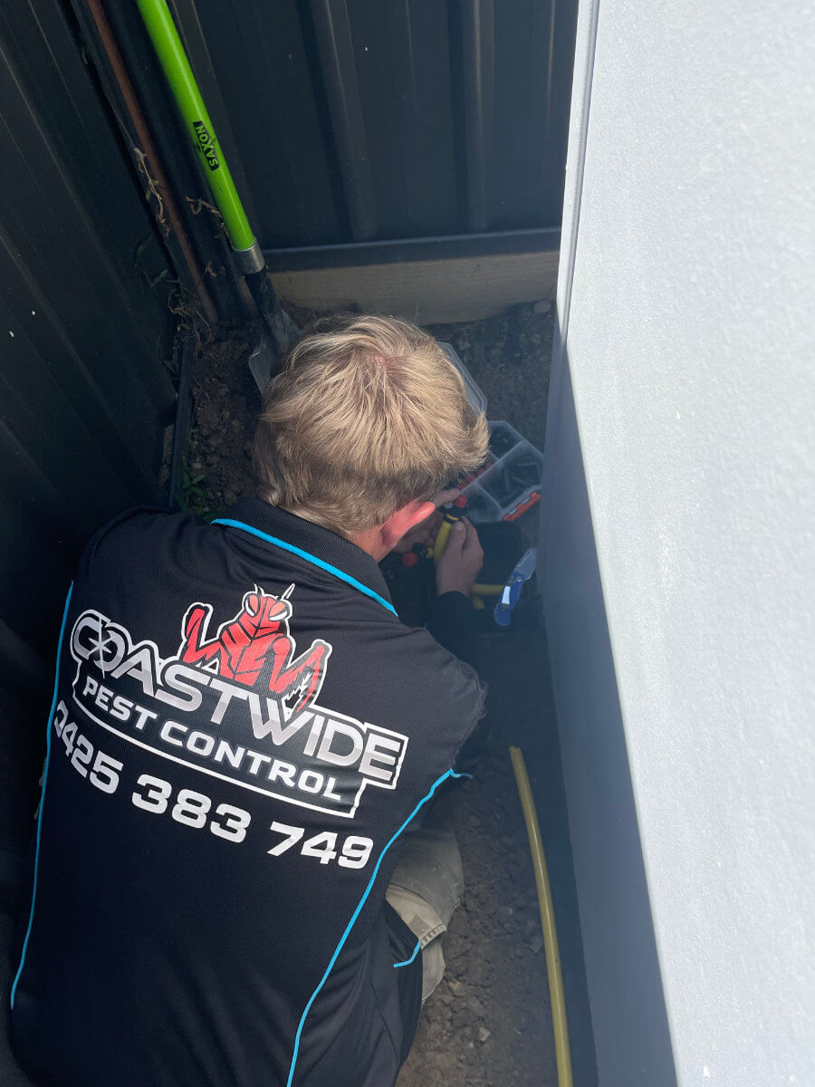 Coastwide Pest Control Central Coast - Fast & Reliable