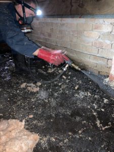 Coastwide Pest Control Central Coast - Fast & Reliable